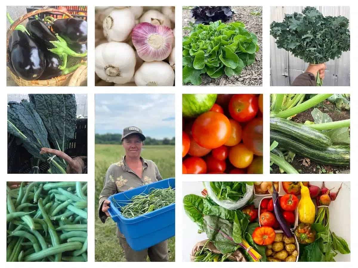 Knuckle Down Farm – IncrEdible Trent Hills